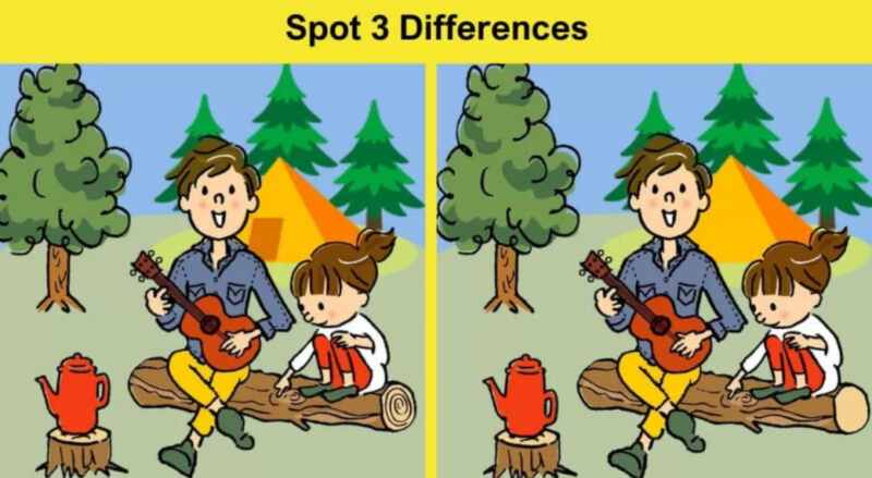 Quick challenge: Spot 3 differences between the camping pictures in ...