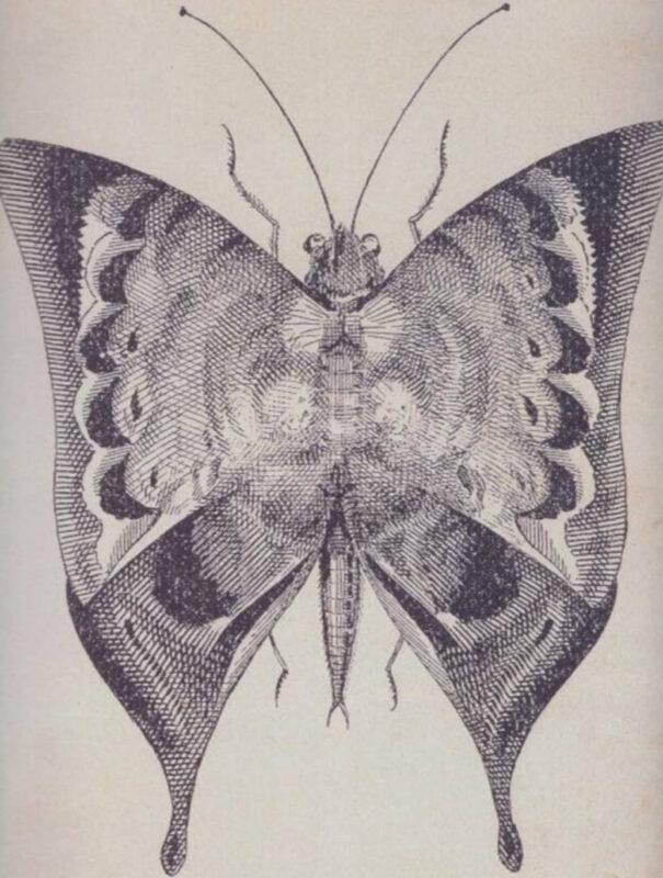 If you see the butterfly but don’t see the tiger – the test is failed.