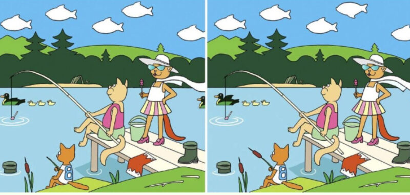 Geniuses spot 10 differences between the pictures within 30 seconds ...